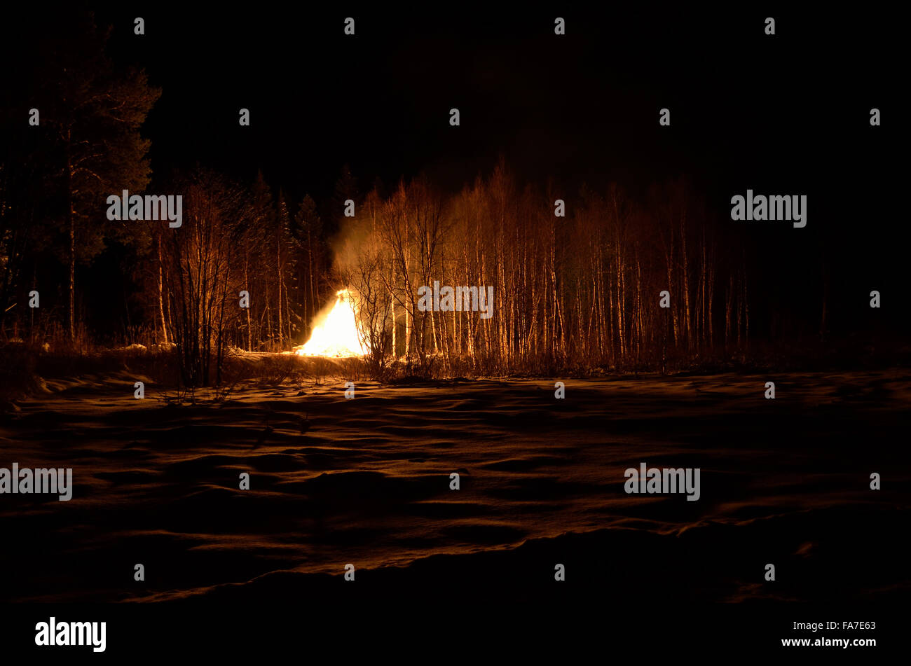 massive bonfire in winter night birch tree forest Stock Photo - Alamy
