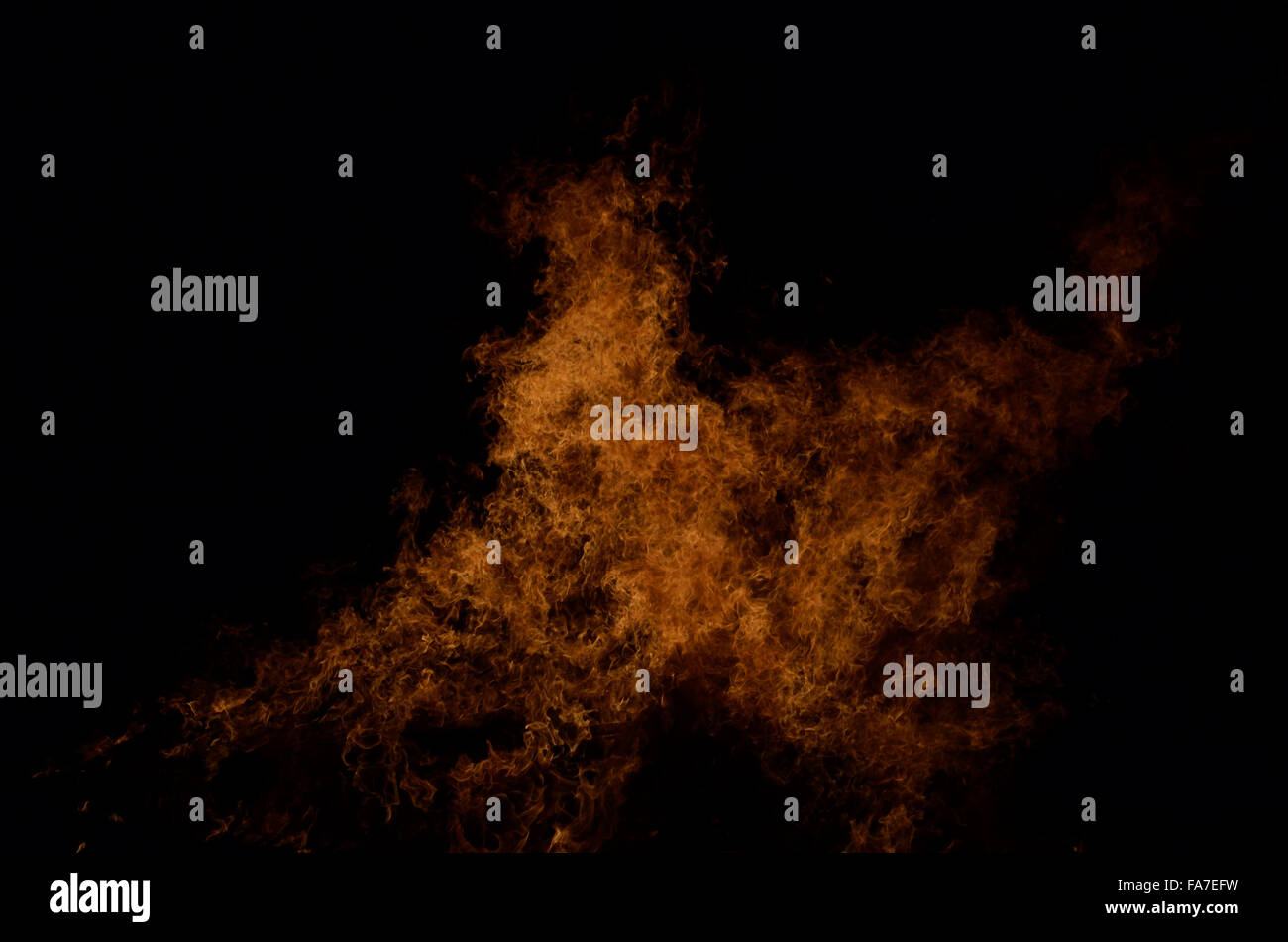 Tall flame tree hi-res stock photography and images - Alamy