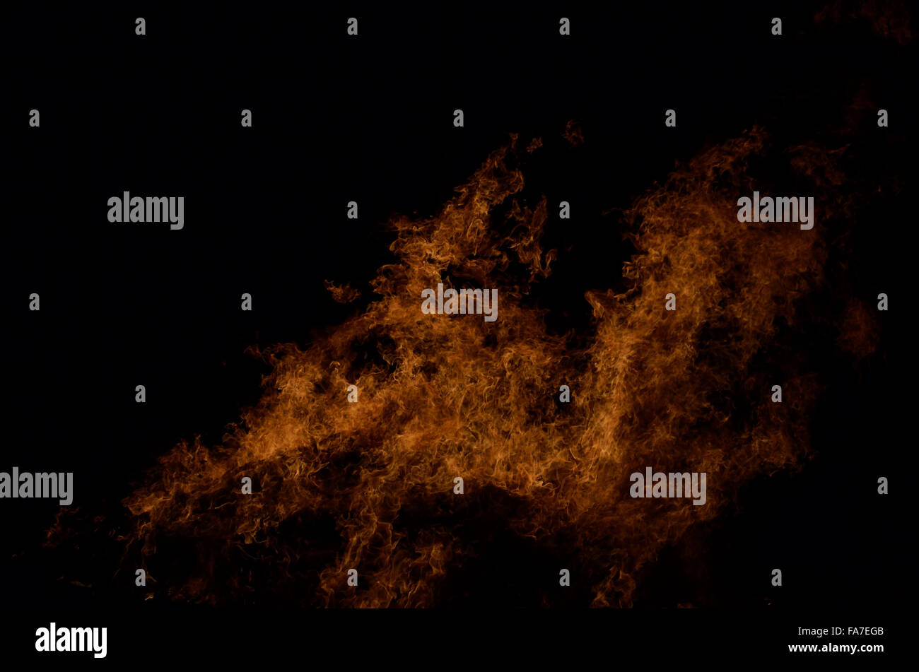 Tall flame tree hi-res stock photography and images - Alamy