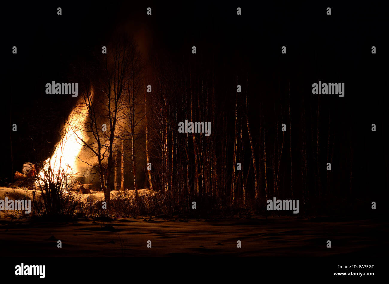 massive bonfire in winter night birch tree forest Stock Photo - Alamy