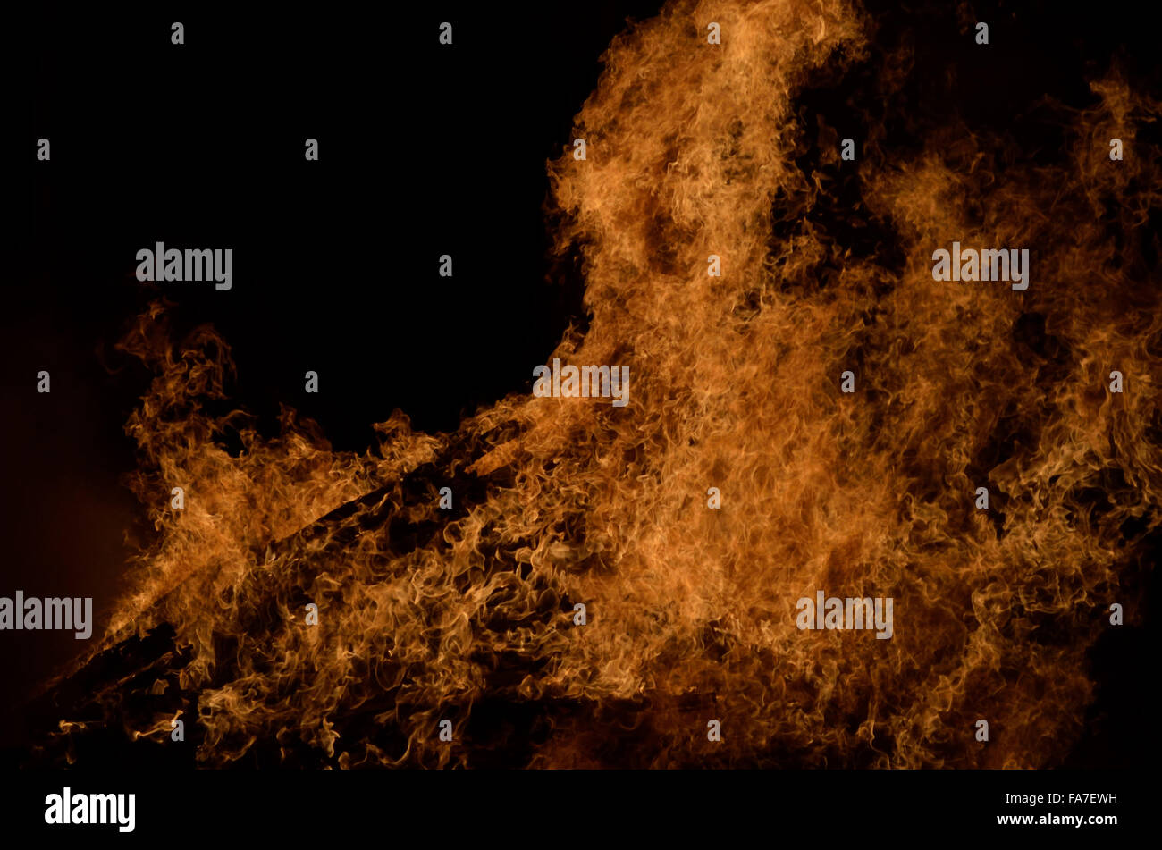 Tall flame tree hi-res stock photography and images - Alamy