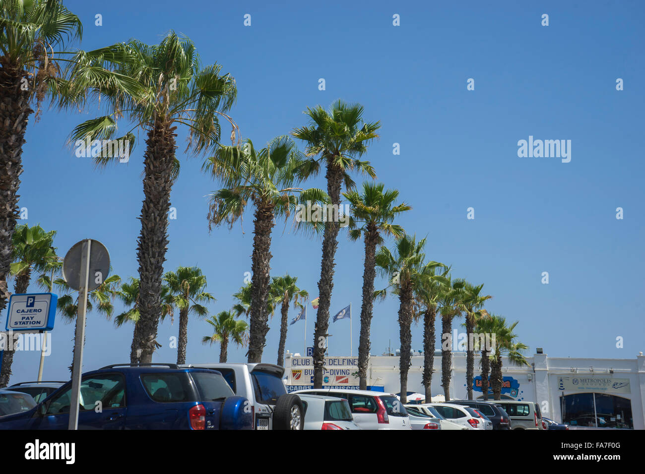 promenade along the sea of palms in Marbella Andalucia Spain Stock ...