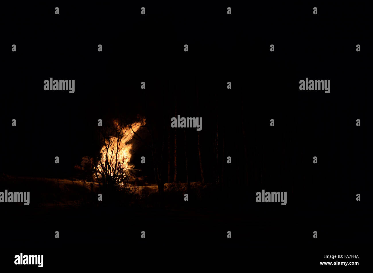 Massive glowing tree hi-res stock photography and images - Alamy