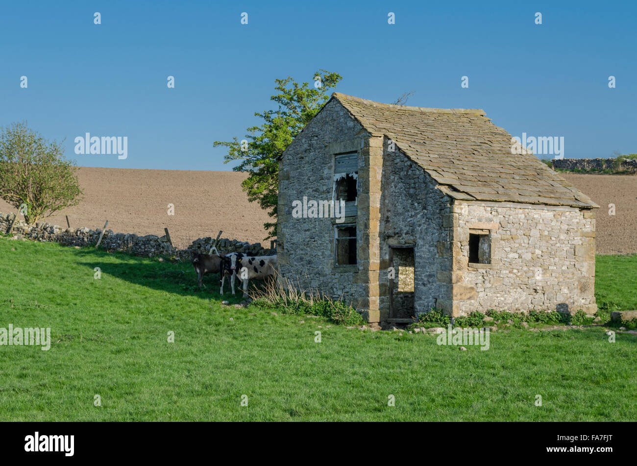 Small derelict farmhouse in the Peak District Stock Photo - Alamy