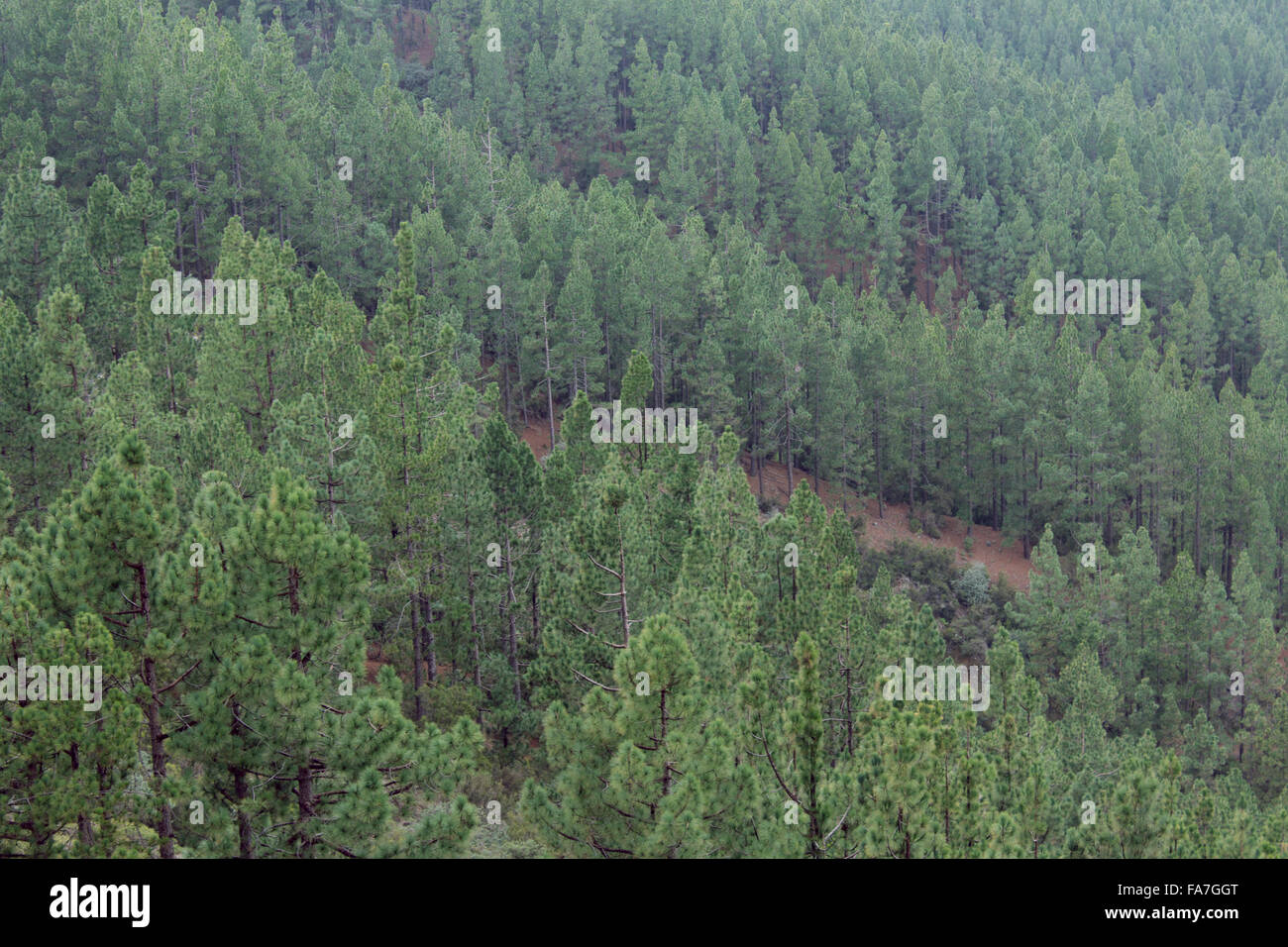 From above landscape hi-res stock photography and images - Alamy
