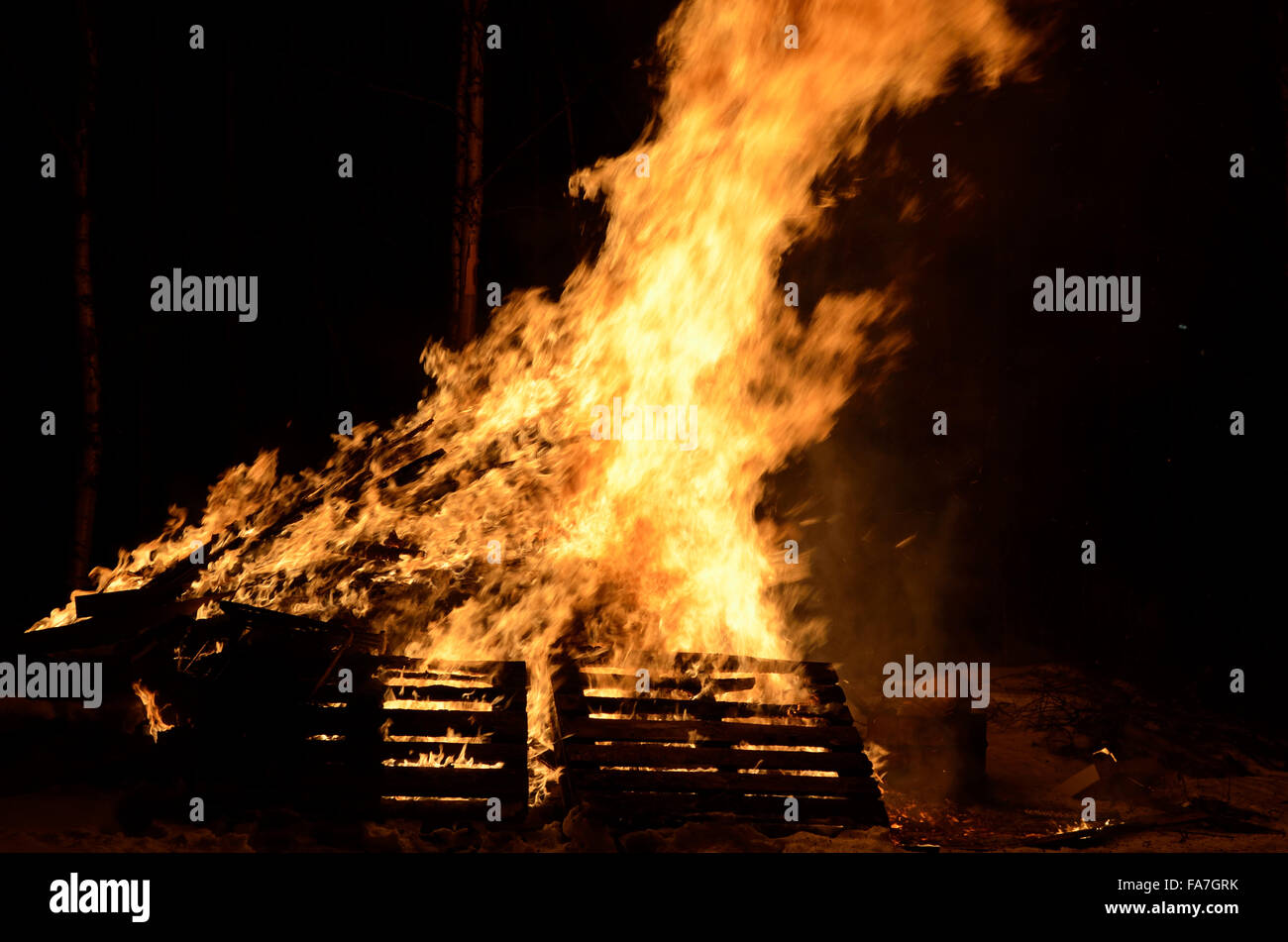 Massive glowing tree hi-res stock photography and images - Alamy