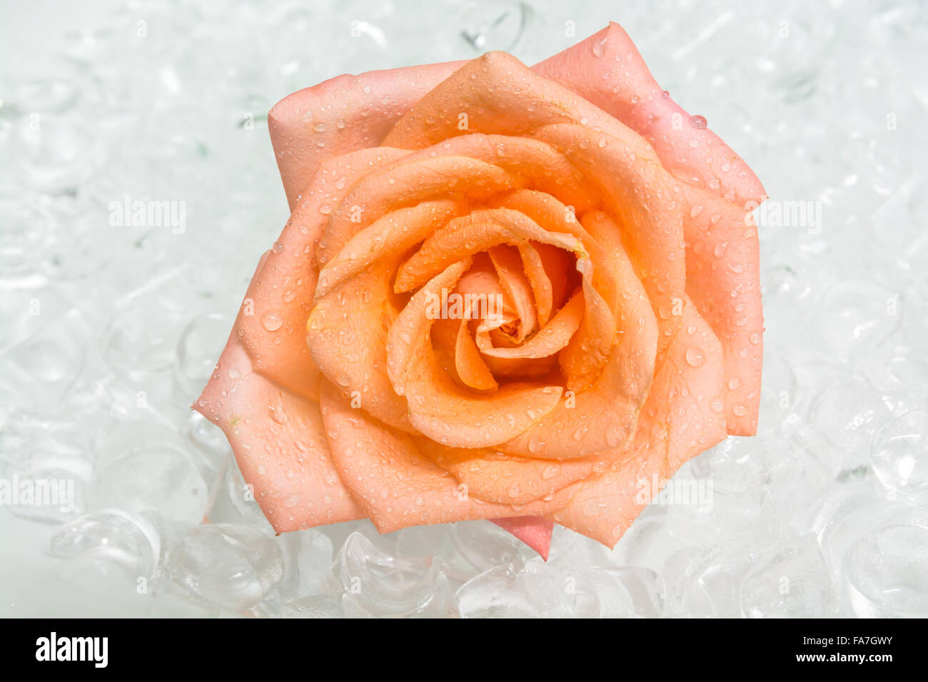 Ice transparency hi-res stock photography and images - Alamy