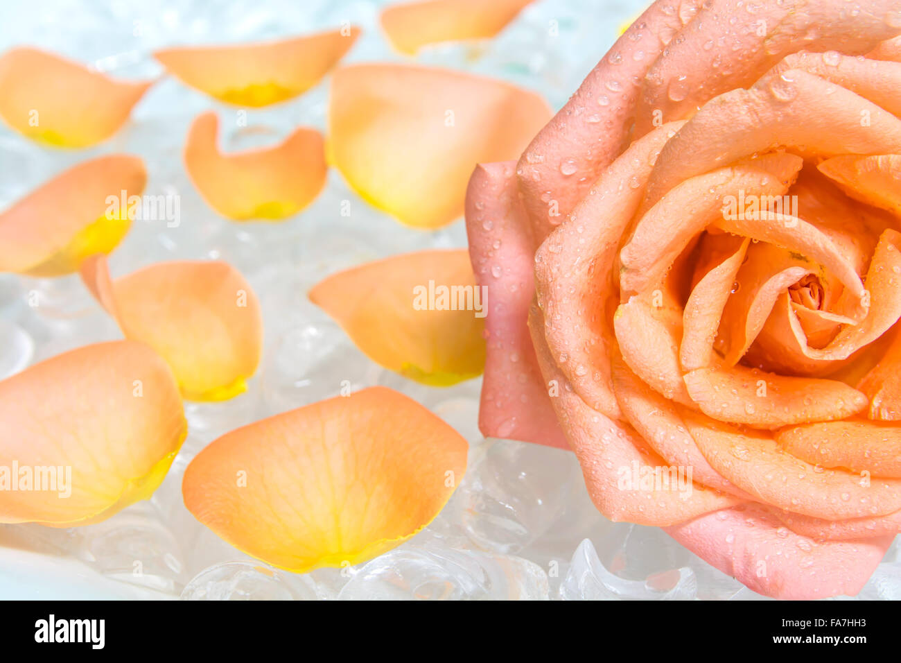 Transparency iced hi-res stock photography and images - Alamy