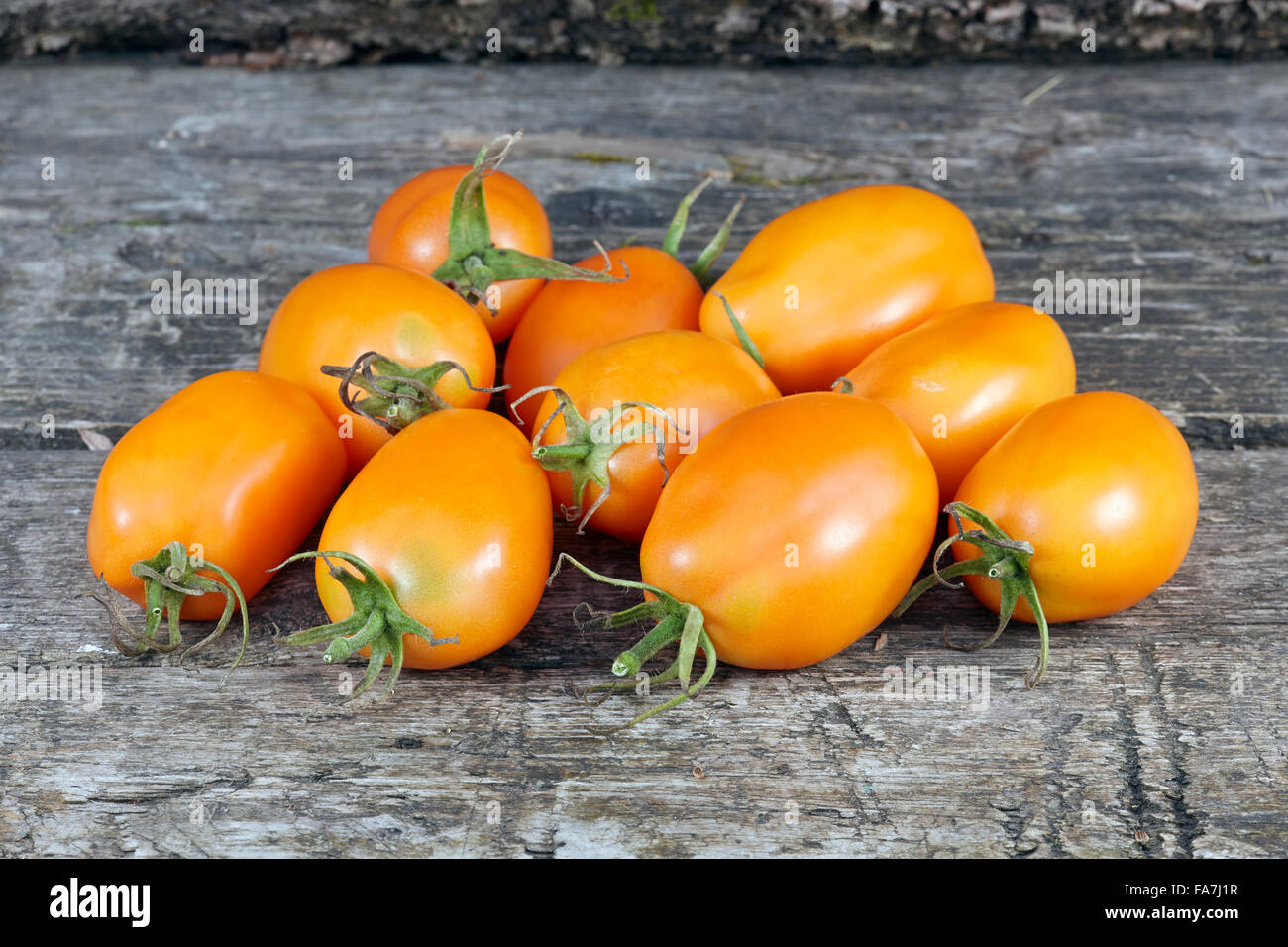 Lycope hi-res stock photography and images - Alamy