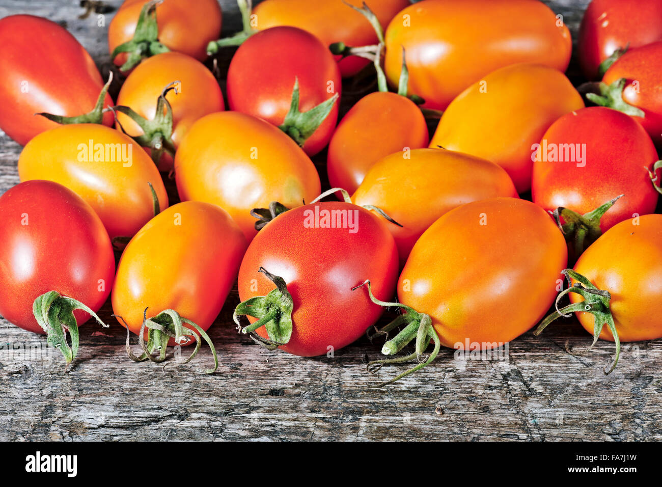 Organically grown tomatoes. Scientific name: Solanum lycopersicum Stock ...