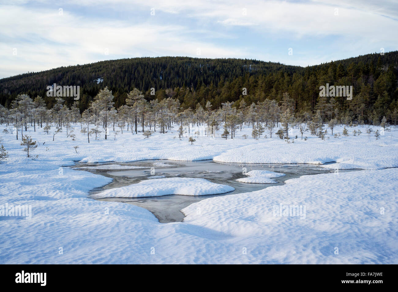 Landscape mire hi-res stock photography and images - Alamy