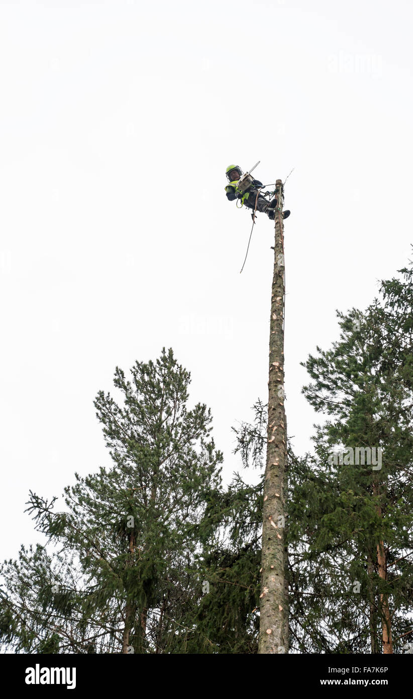 Arboriculturist working hi-res stock photography and images - Alamy