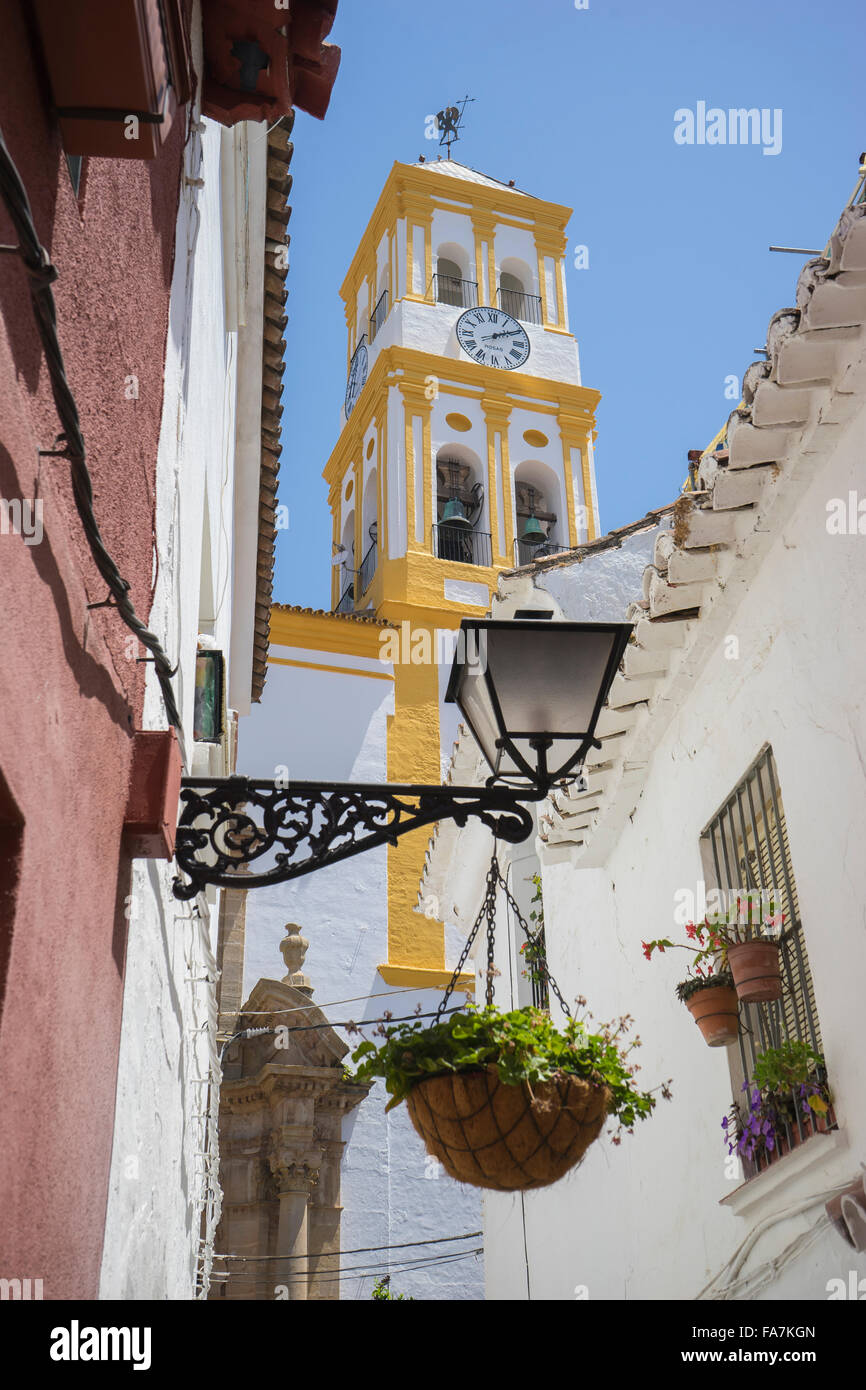 traditional Andalusian streets with flowers and white houses in ...