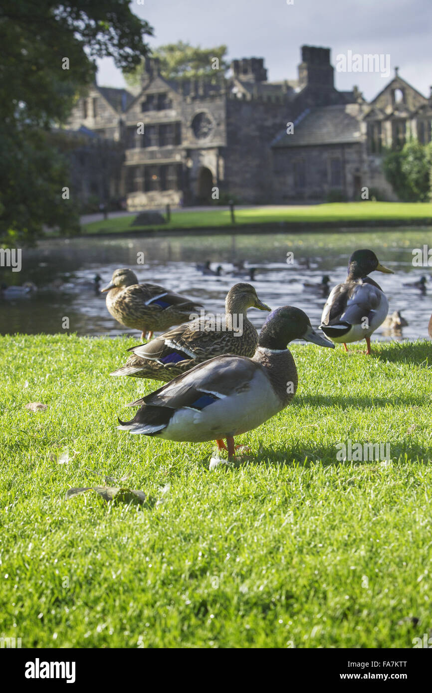 The pond in front of the manor house at East Riddlesden Hall, West ...