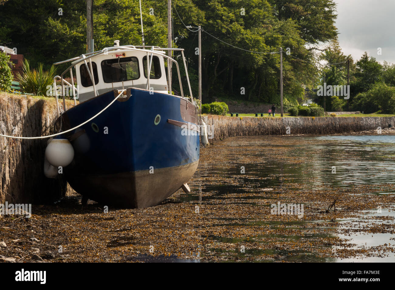 Blue fishing motorboat at low tide, Kenmare harbour and marina, Kenmare ...