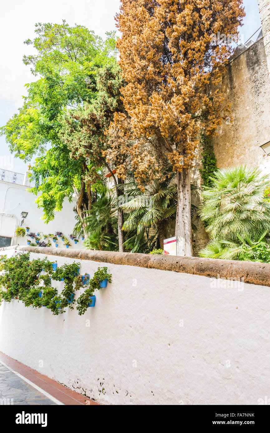 spanish, architecture and streets of white flowers in Marbella ...