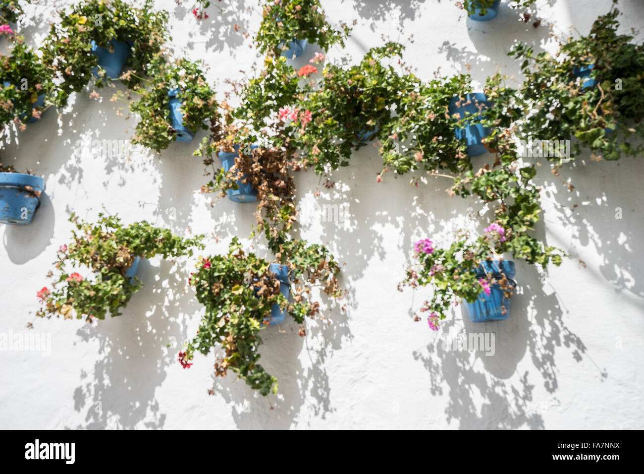potted plants and flowers on the streets of Marbella, Malaga Spain ...