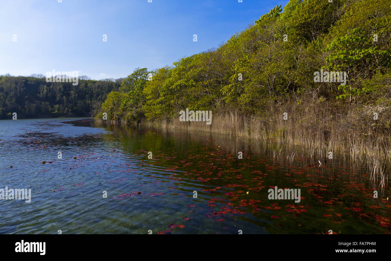 Bosherston lakes hi-res stock photography and images - Alamy