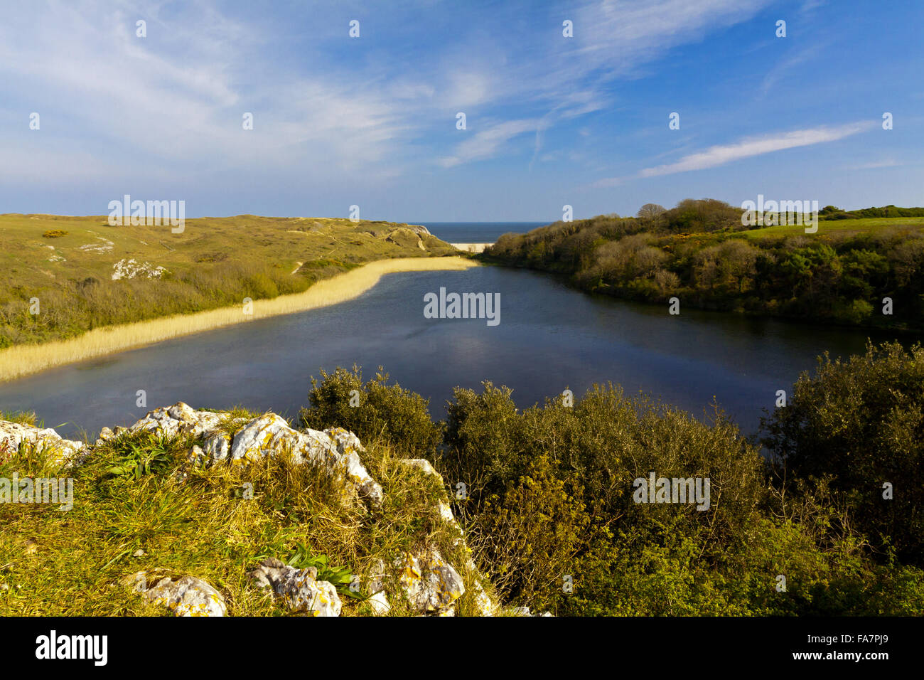 View of Bosherston Lily Pond towards Broadhaven beach and the sea at ...
