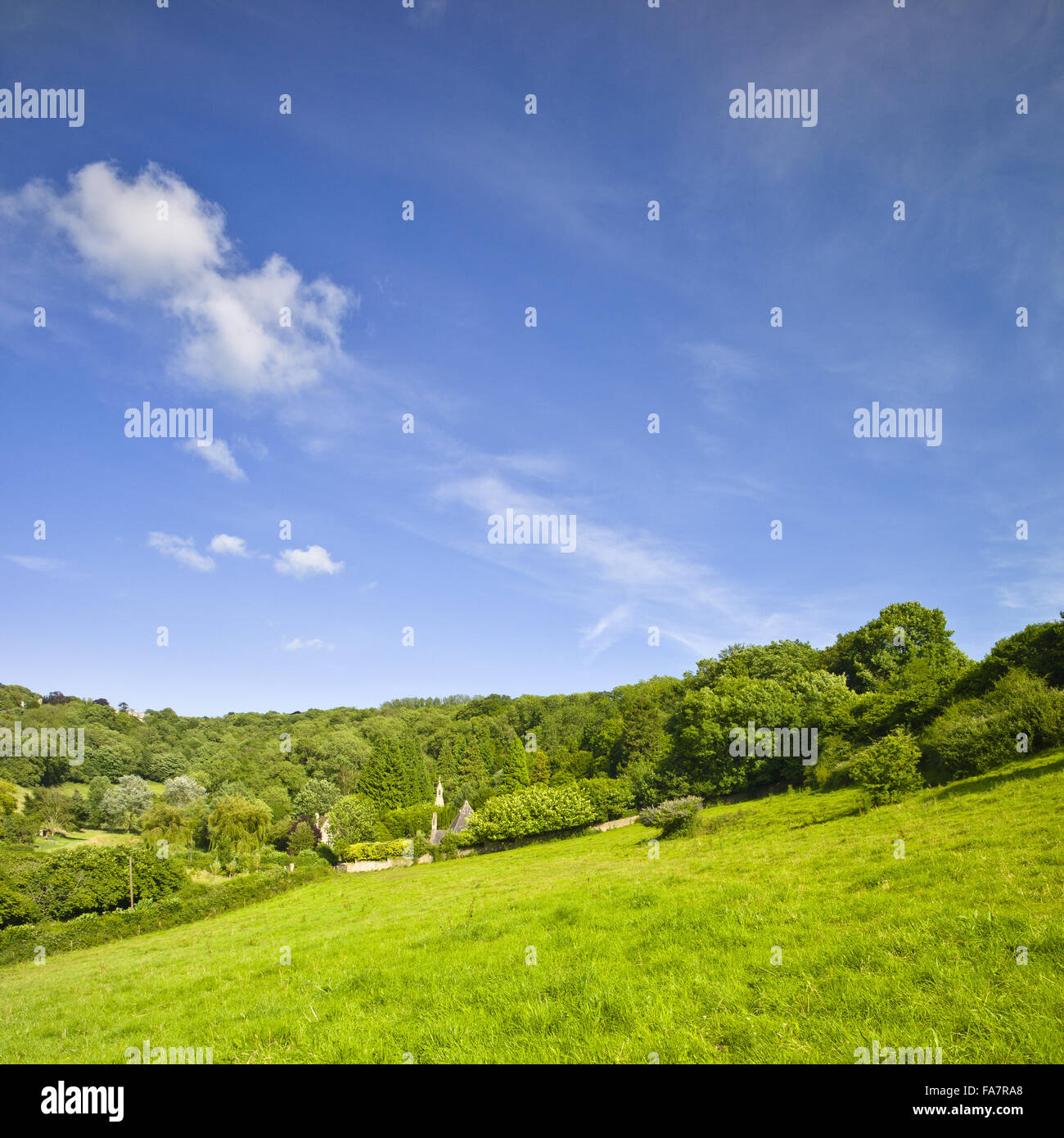 The viewpoint at Smallcombe Wood on the Bath Skyline walk, Somerset ...