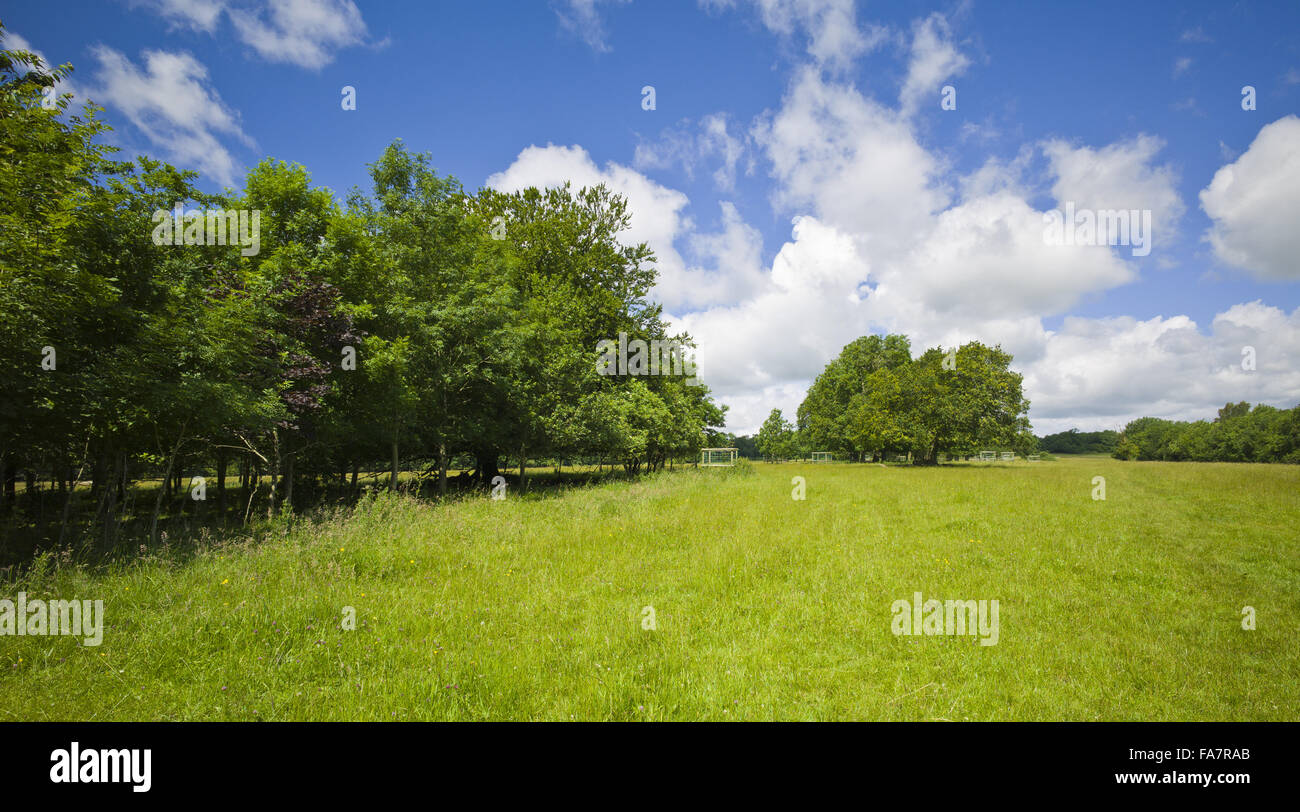 Bushey Norwood on the Bath Skyline walk, Somerset. The Bath Skyline ...