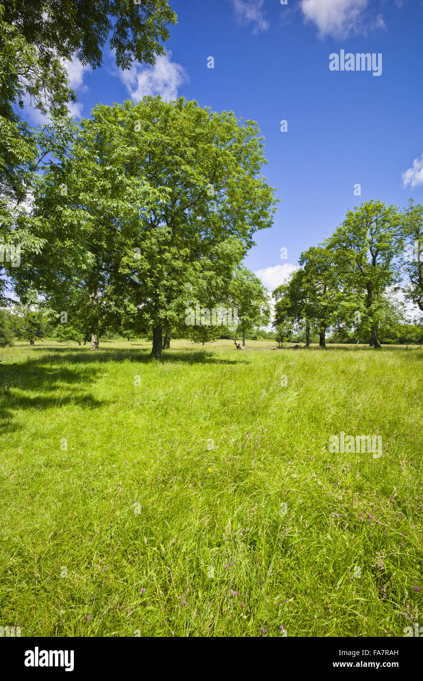 Bath skyline walk hi-res stock photography and images - Alamy