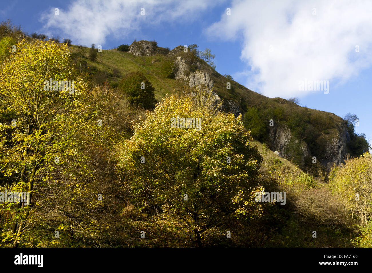 Trees on hills above Hall Dale in Dovedale, South Peak Estate ...