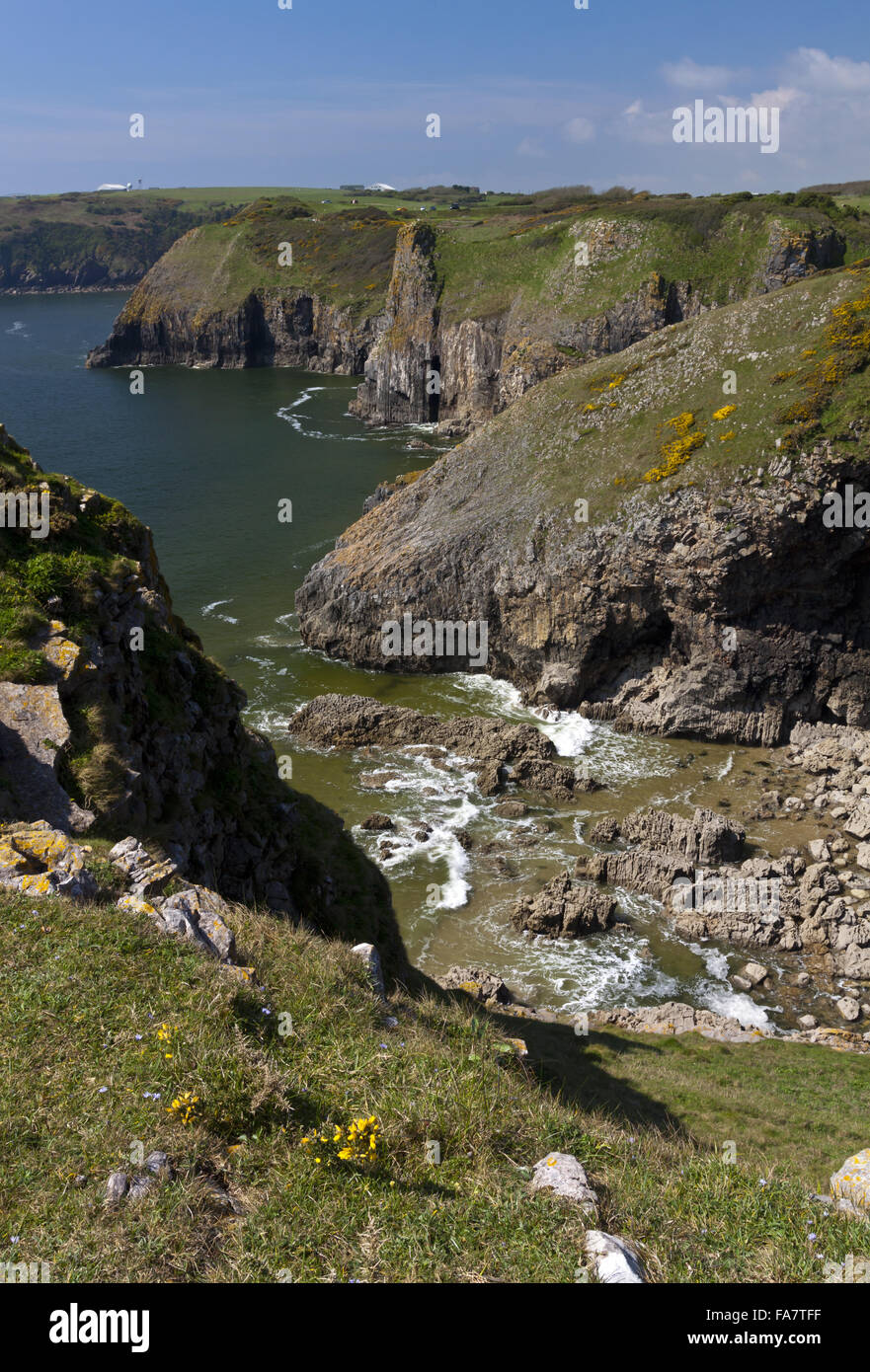 View across the cliffs at Lydstep Headland in Pembrokeshire, Wales ...
