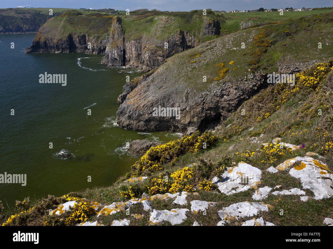 View across the cliffs at Lydstep Headland in Pembrokeshire, Wales ...
