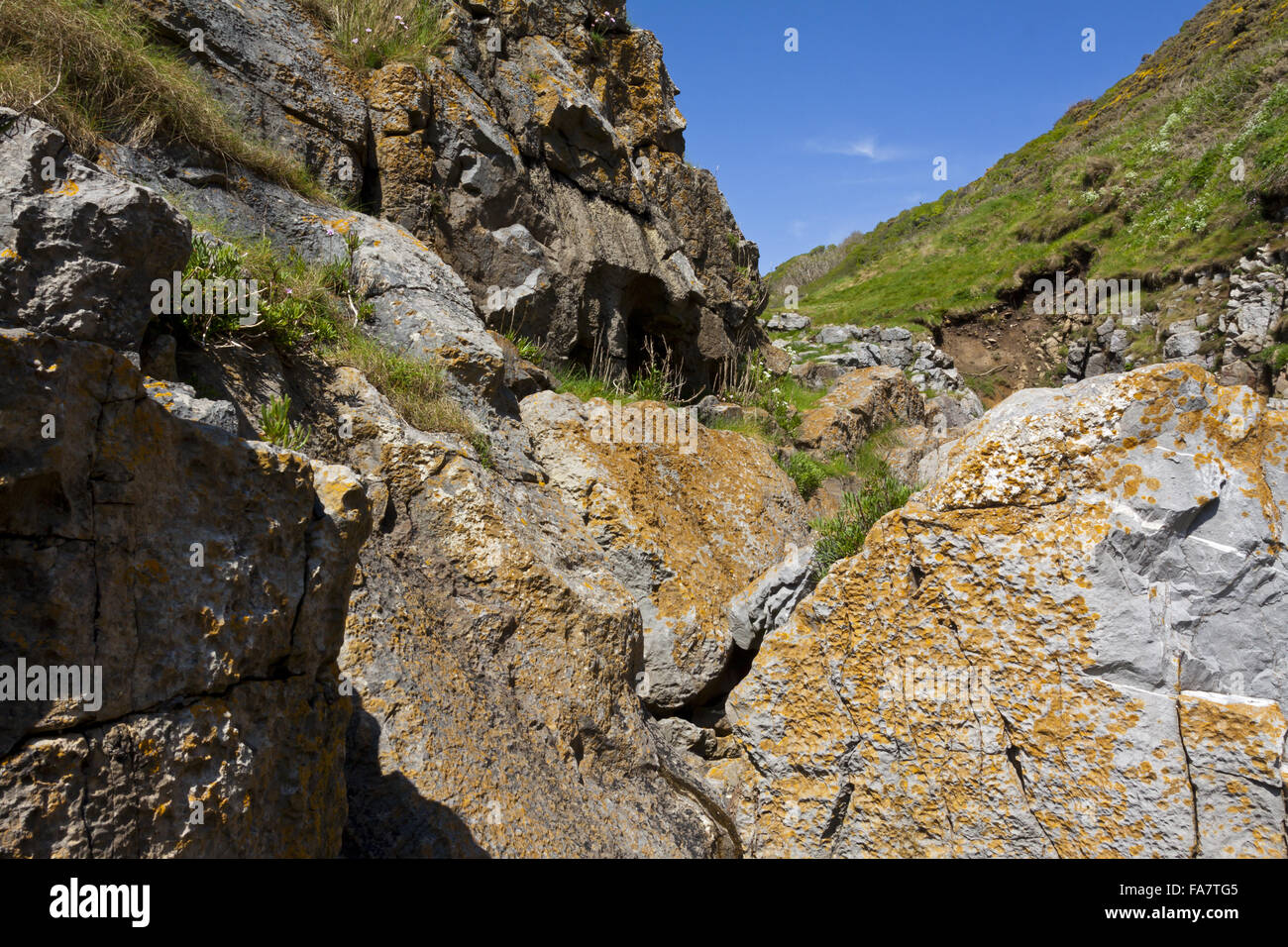 Cliffs at Lydstep Headland in Pembrokeshire, Wales Stock Photo - Alamy