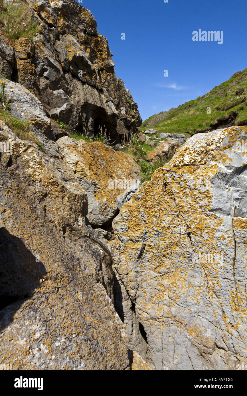 Coastcampaignwales hi-res stock photography and images - Alamy