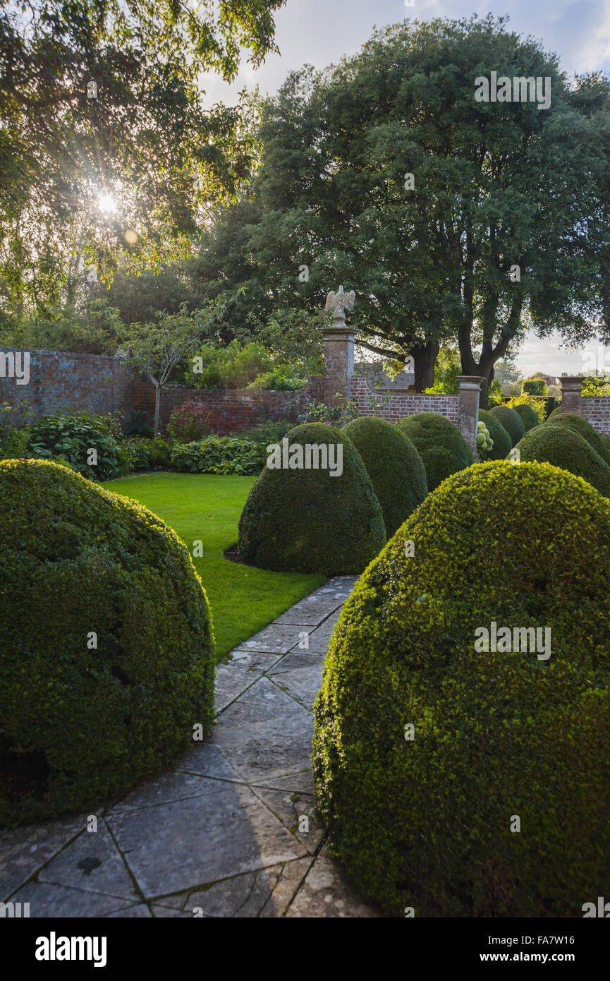 Quercus ilex holm oak topiary hi-res stock photography and images - Alamy