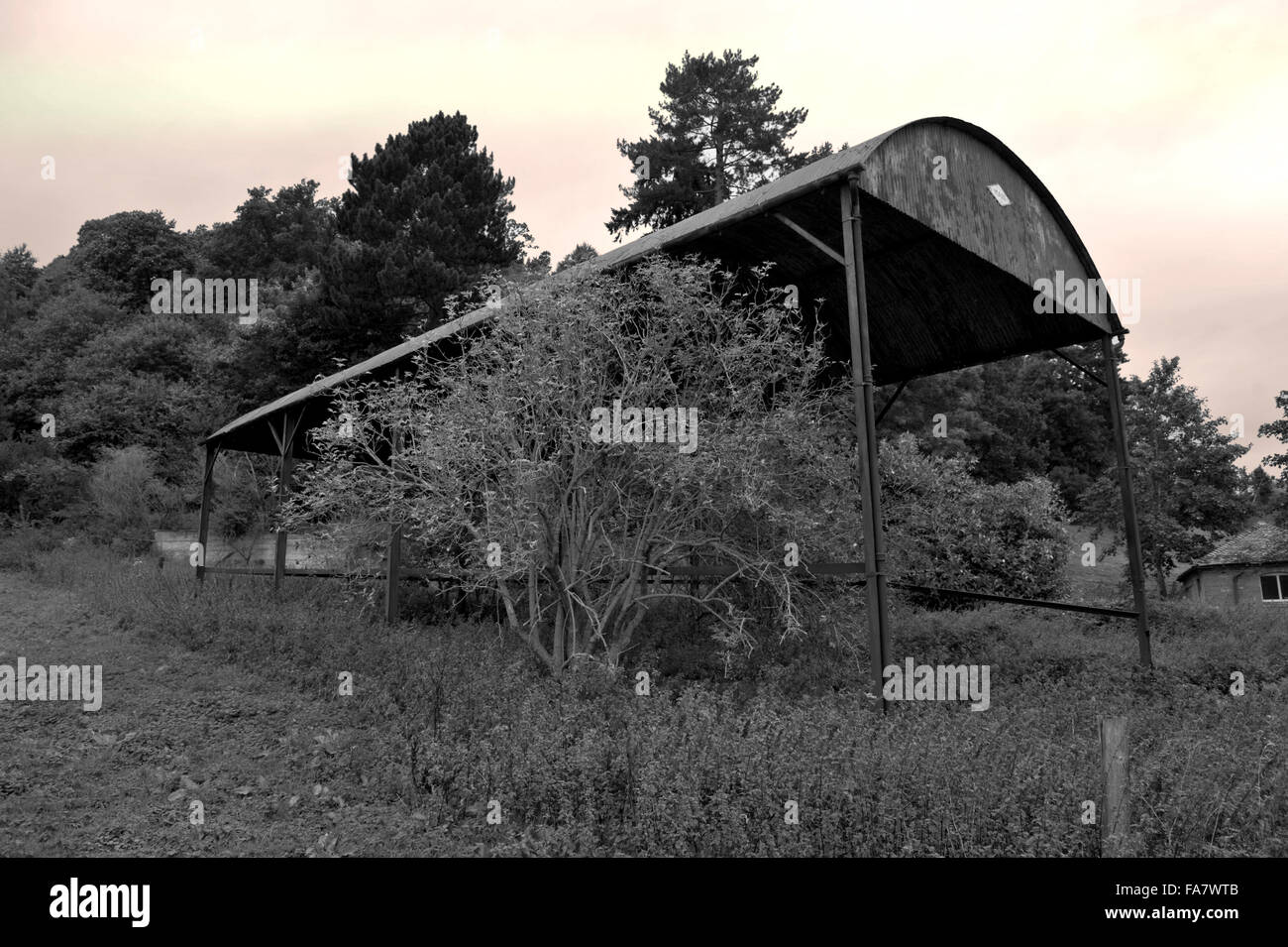 A black-and-white rendition of an old Dutch barn in a farm near Compton ...