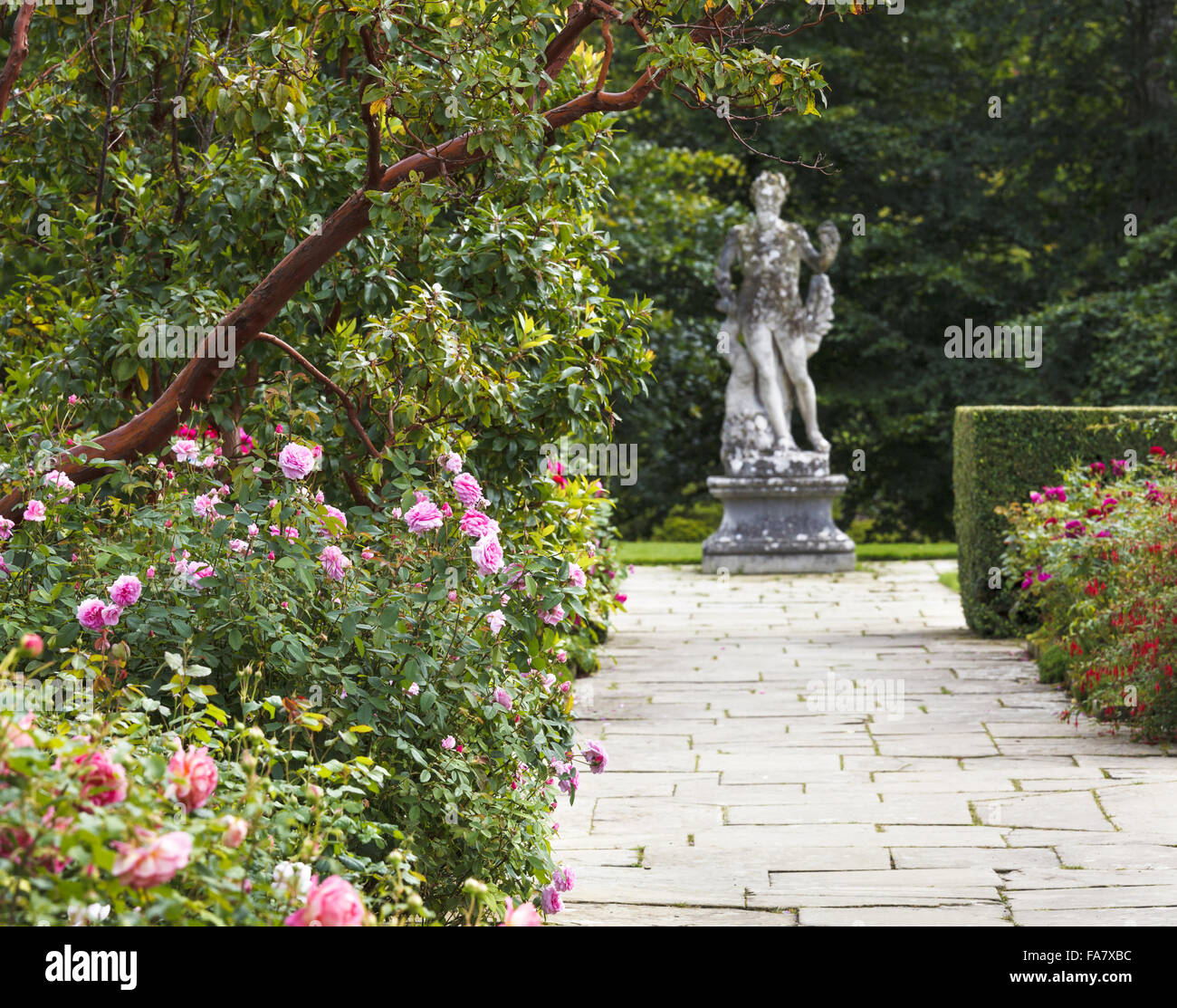 View of flowering rose bushes and a statue on the Upper Rose Terrace ...