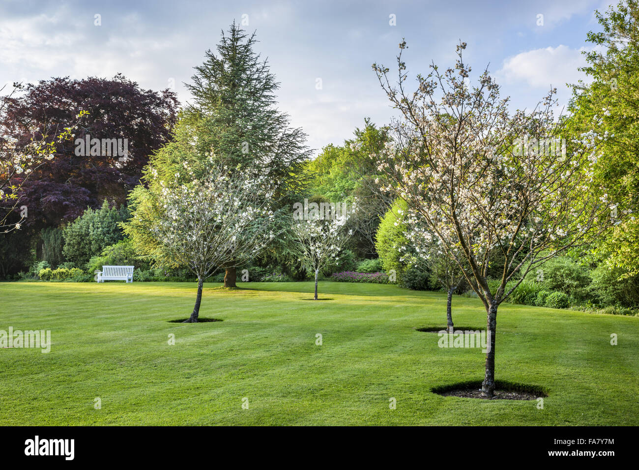 A large expanse of lawn with trees in blossom in early summer at Uppark ...
