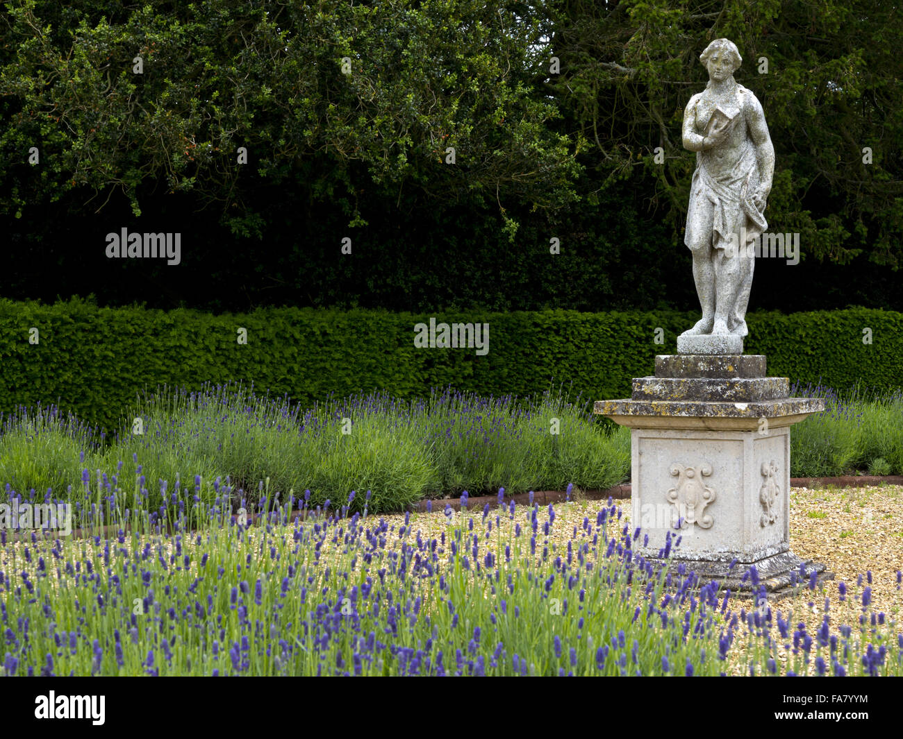 A stone statue surrounded by lavender in the Dutch Garden at Belton ...