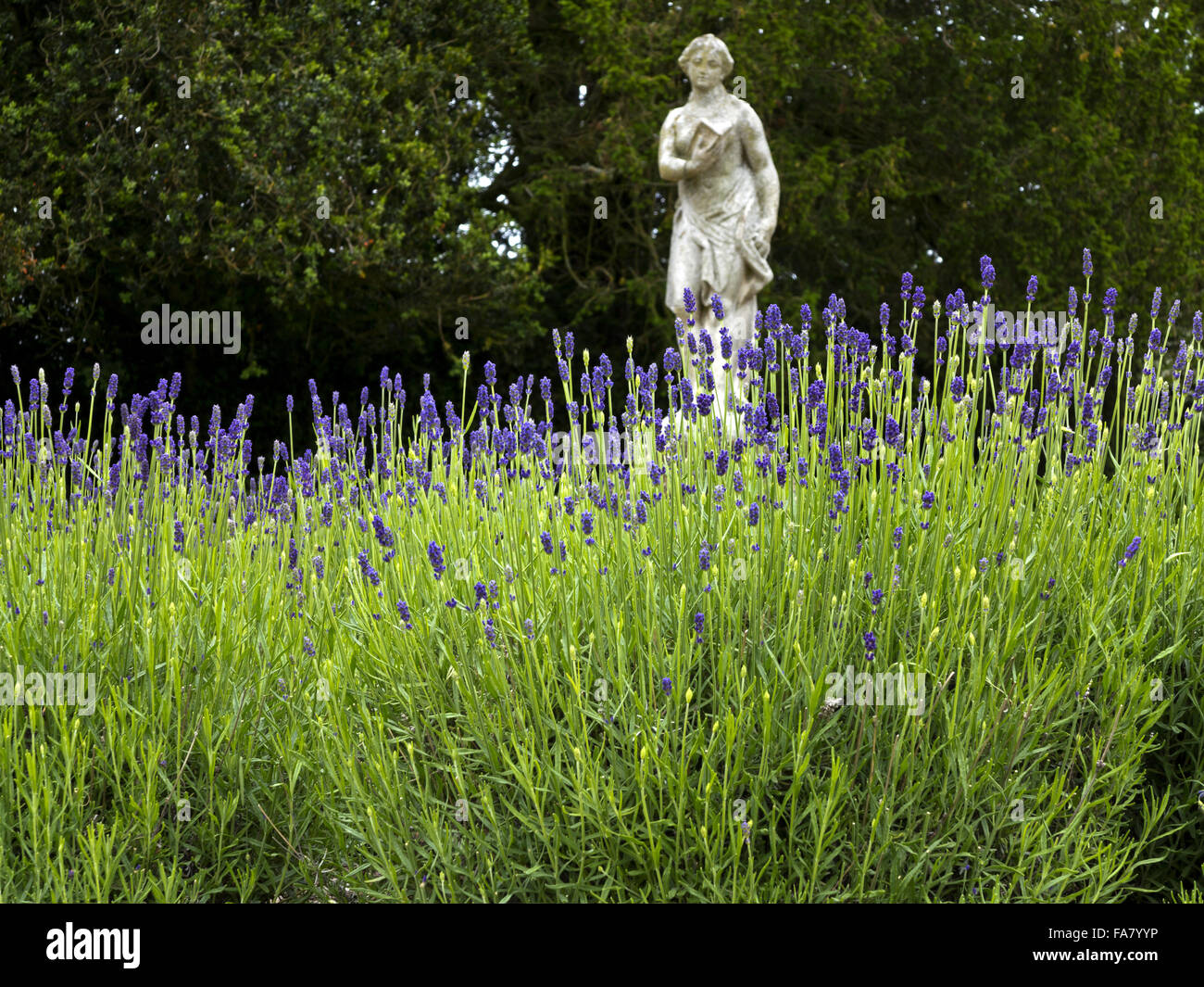 Surrounded stone hi-res stock photography and images - Alamy