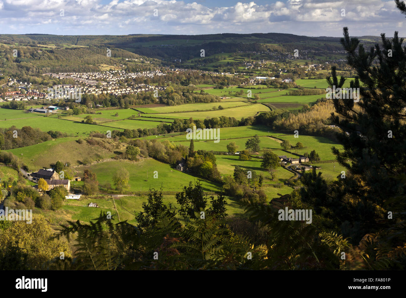 Darley moor hi-res stock photography and images - Alamy