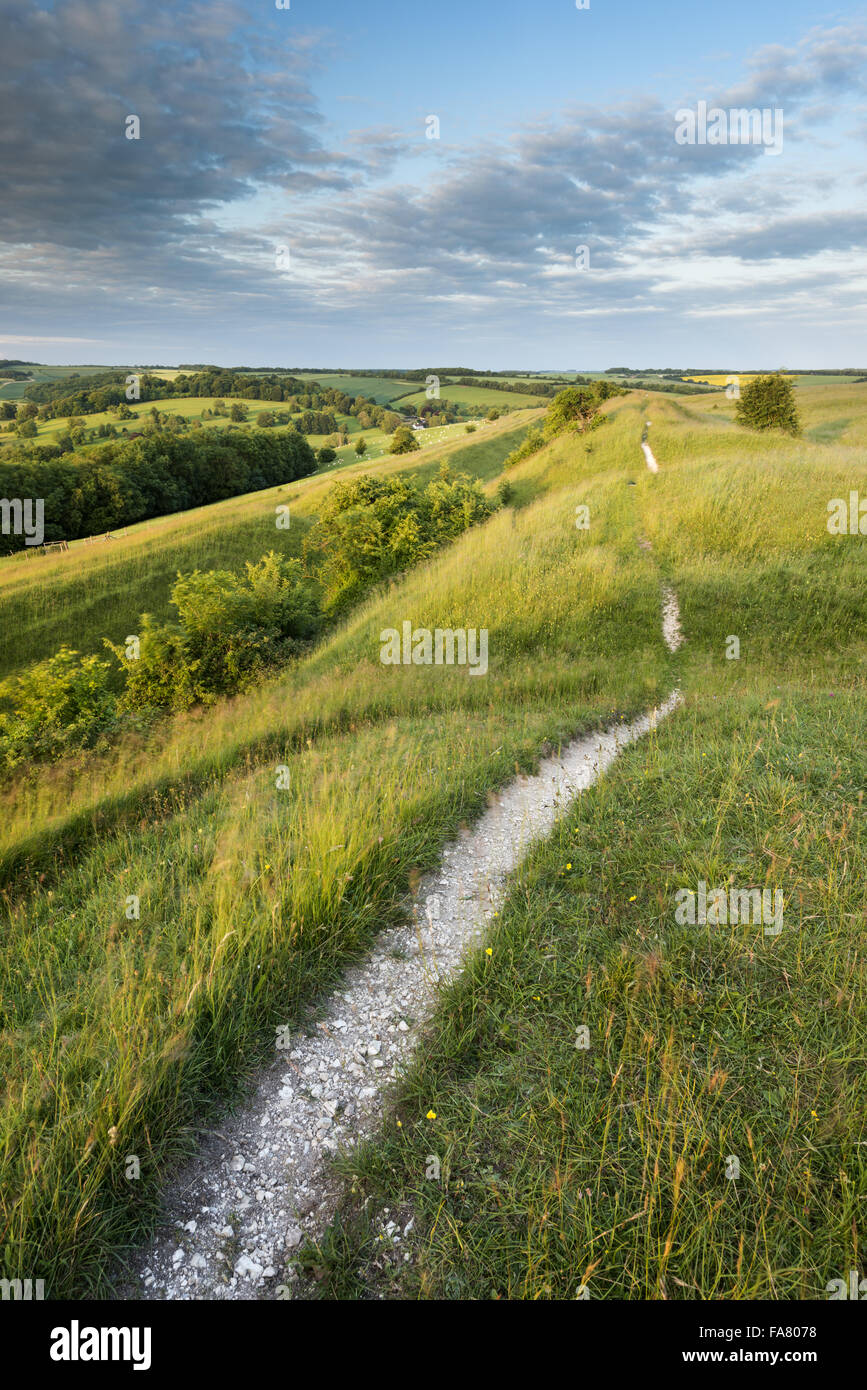 Hod hill hi-res stock photography and images - Alamy