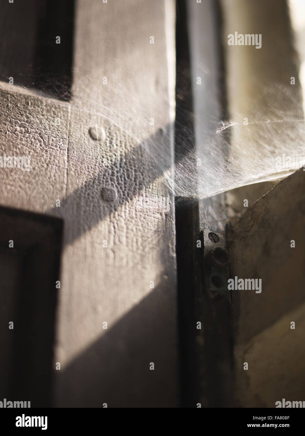 Detail of a cobweb between panelling and a window in Avebury Manor ...