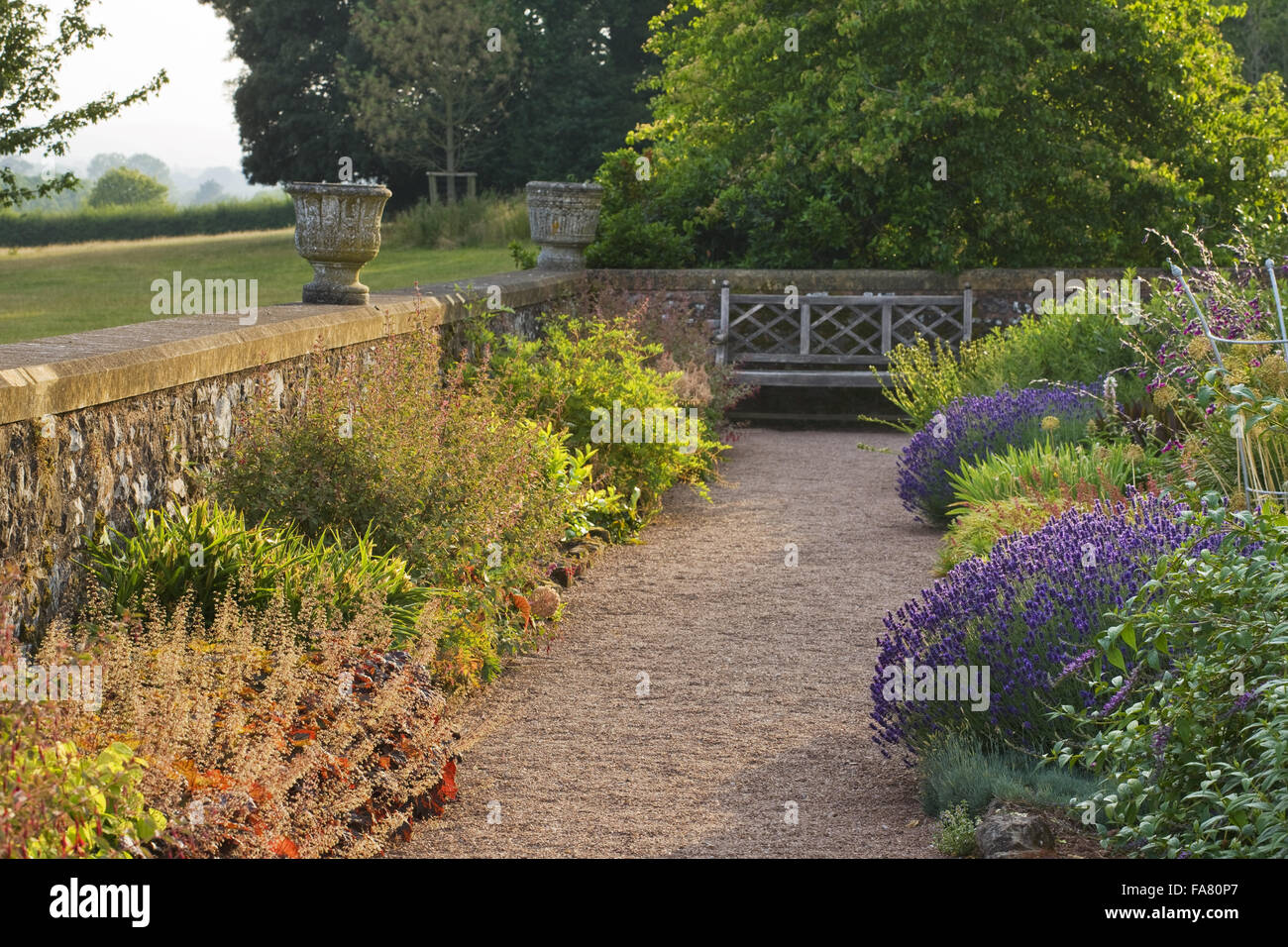 Herbaceous garden at Killerton, Devon shown in evening light in July ...
