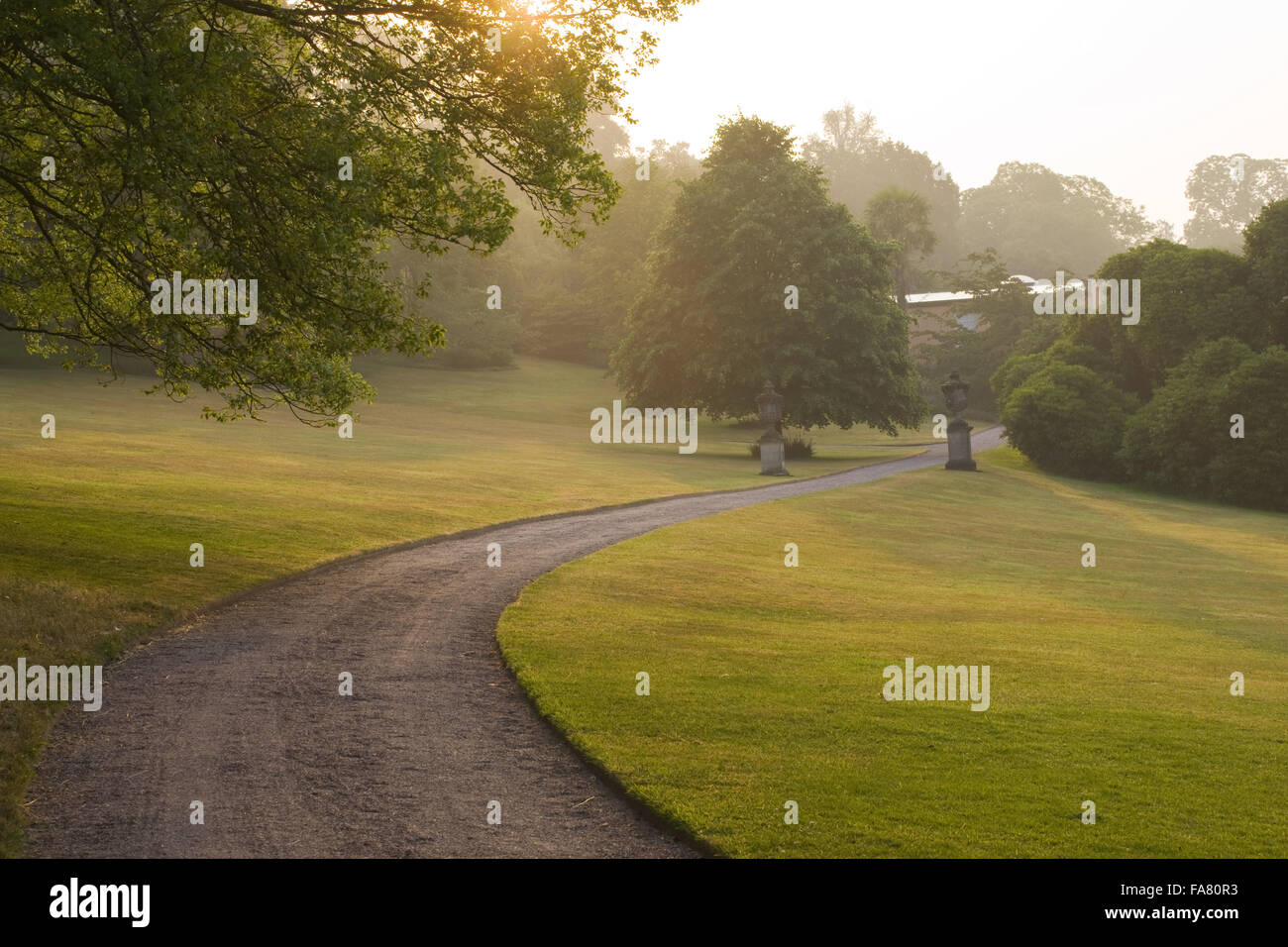 Path through lawns and trees in the garden at Killerton, Devon. The ...
