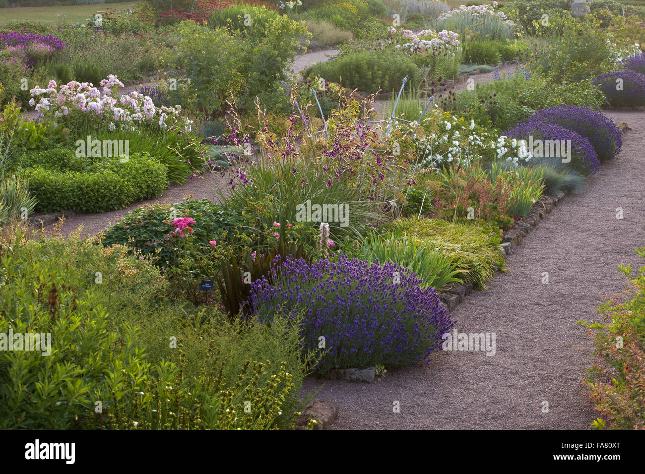 Herbaceous border path hi-res stock photography and images - Alamy