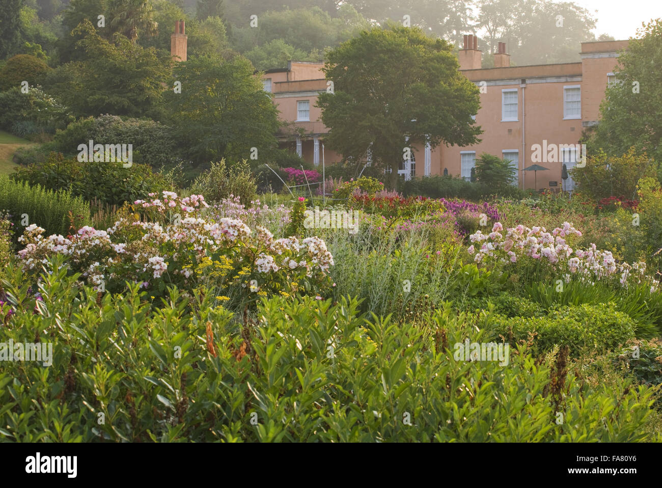 Herbaceous garden at west front of the house at Killerton, Devon ...