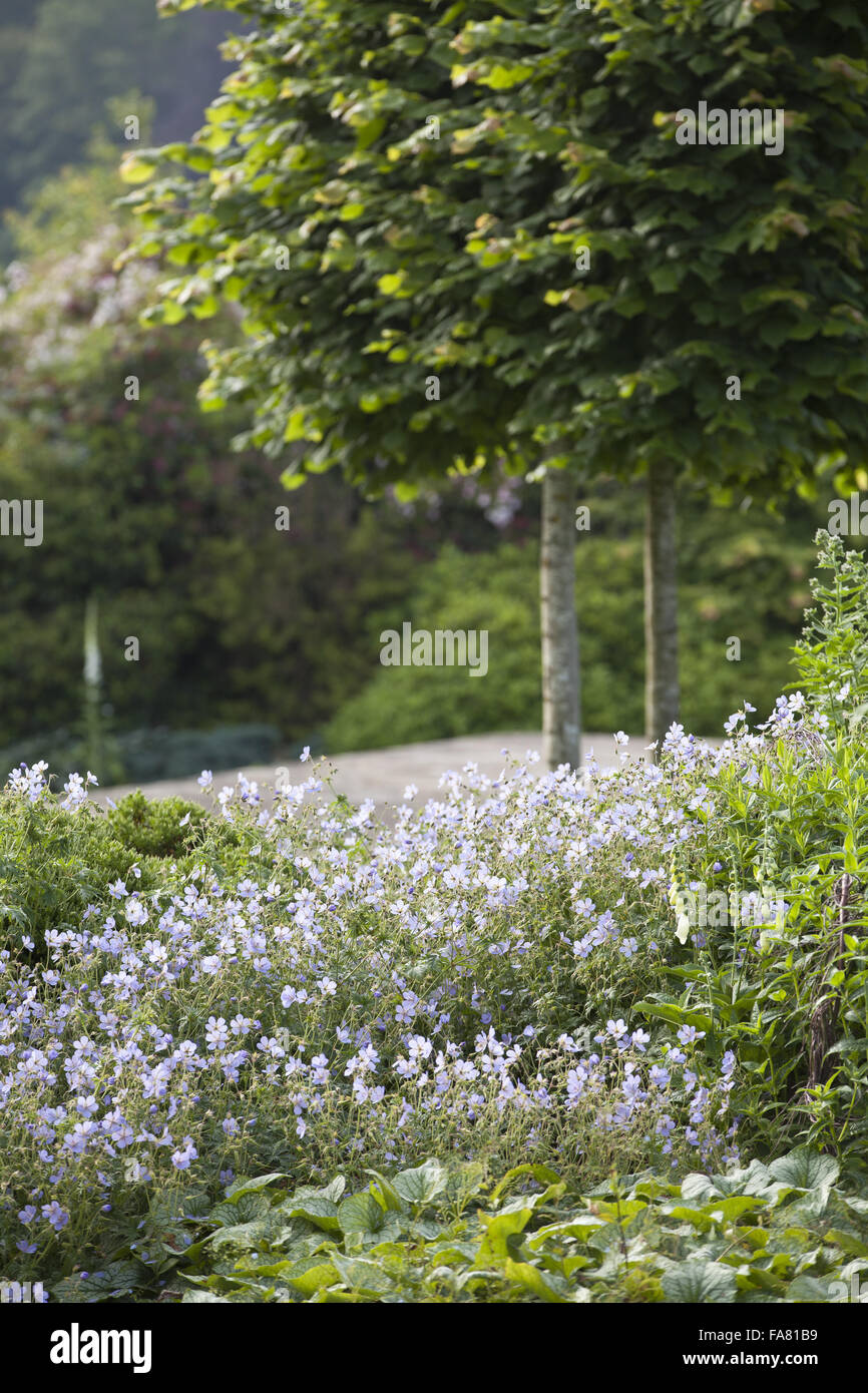 Woolbeding Gardens, West Sussex. Woolbeding is a modern masterpiece ...