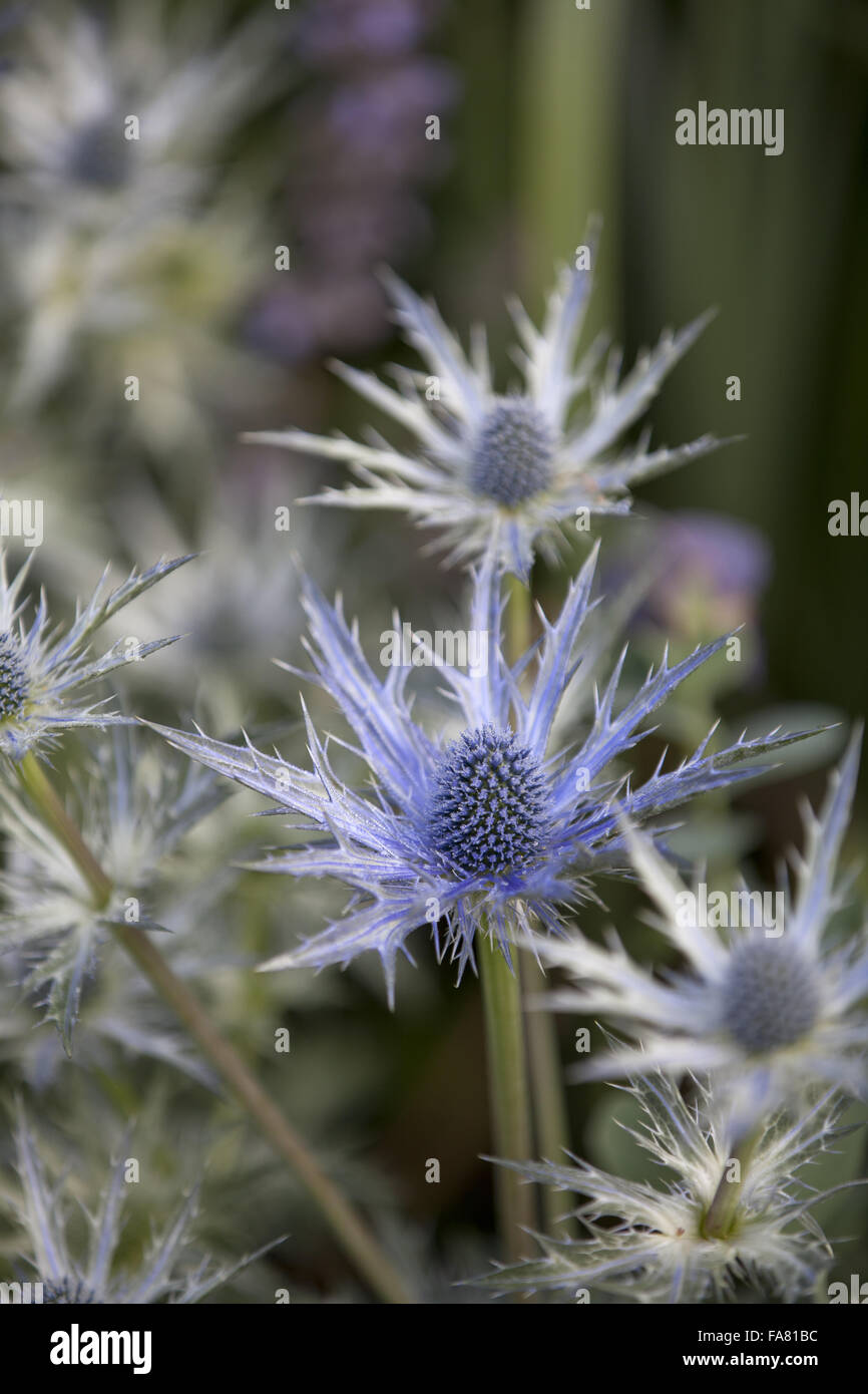 Woolbeding Gardens, West Sussex. Woolbeding is a modern masterpiece ...