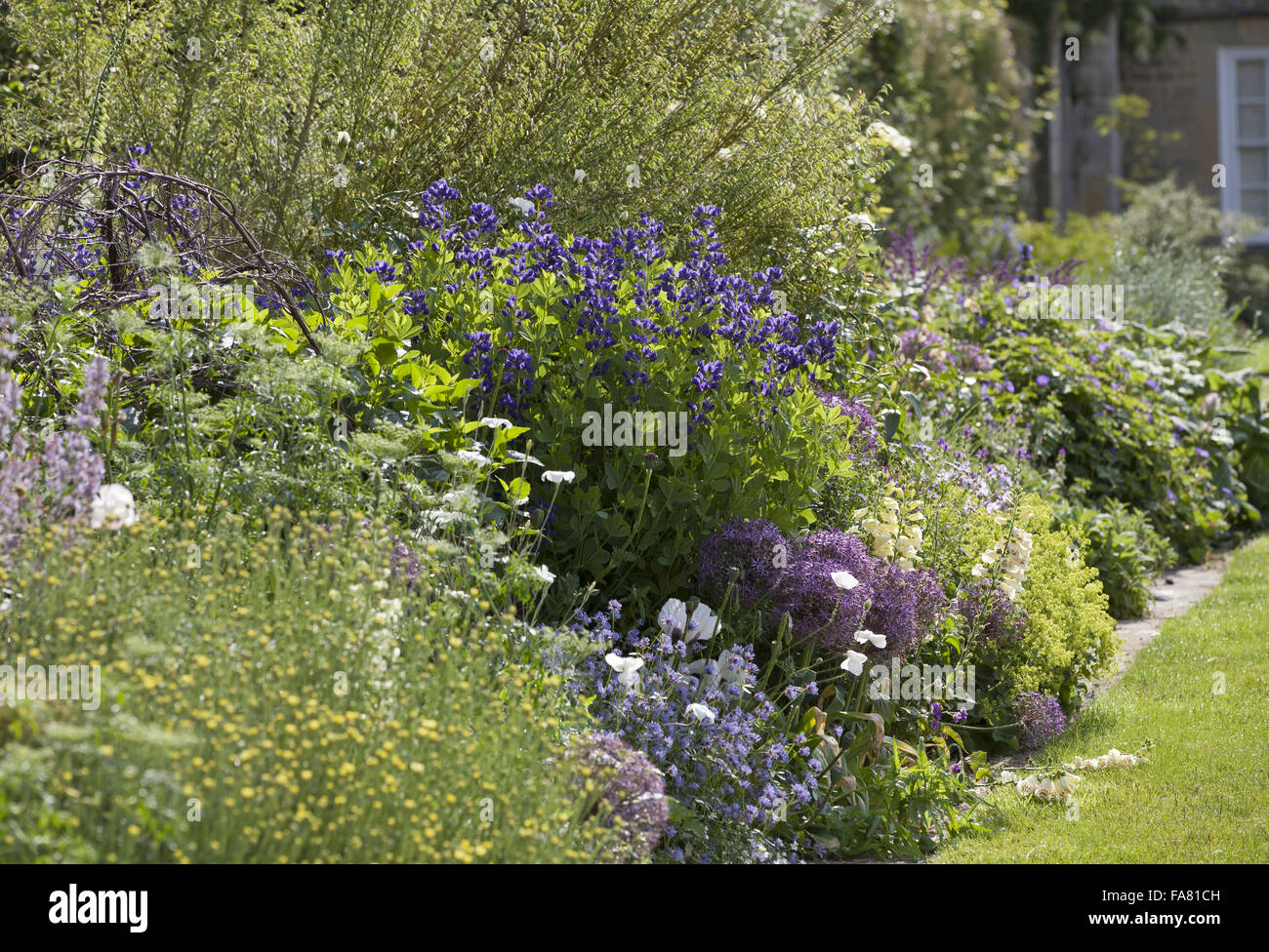 Colour themed border hi-res stock photography and images - Alamy