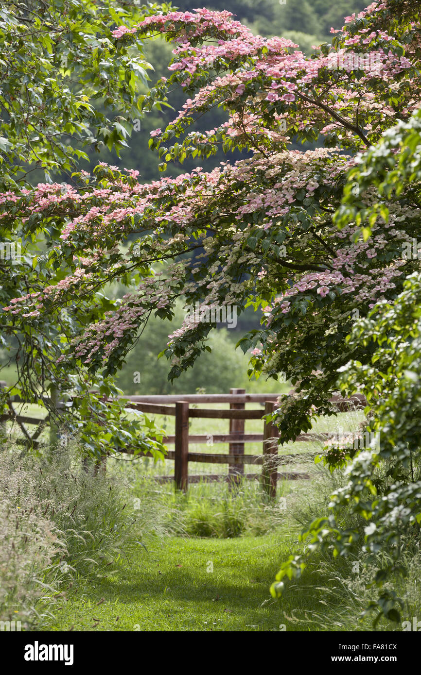 Woolbeding Gardens, West Sussex. Woolbeding is a modern masterpiece ...