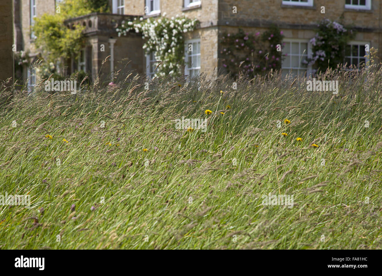 Woolbeding Gardens, West Sussex. Woolbeding is a modern masterpiece ...