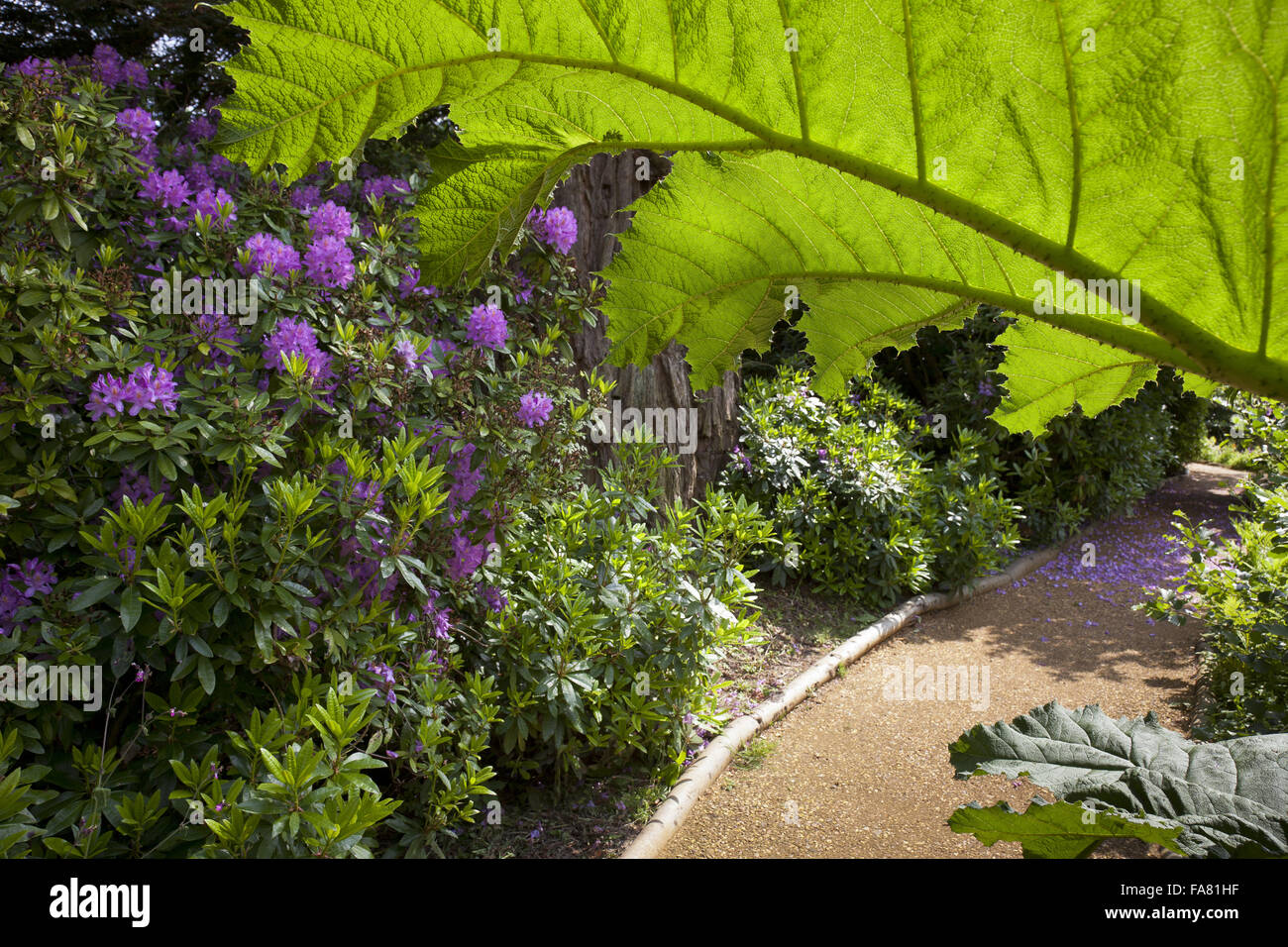 Woolbeding gardens hi-res stock photography and images - Alamy